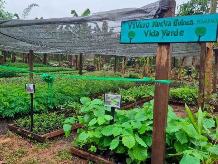 Inauguran vivero Vida Verde en Nueva Guinea